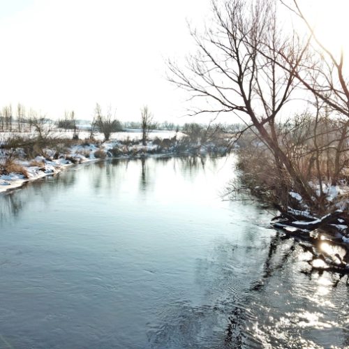 Life4delta | Delta rzeki Nidy w zimowej odsłonie