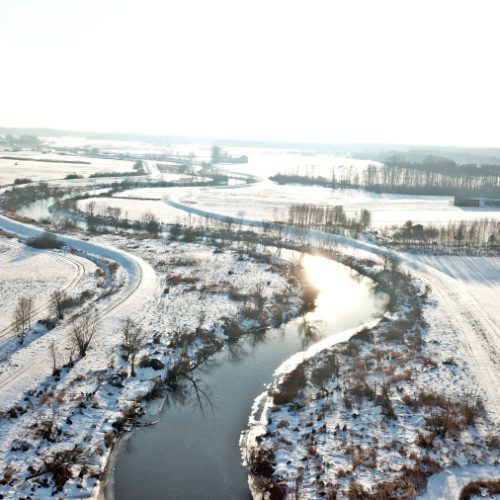 Life4delta | Delta rzeki Nidy w zimowej odsłonie